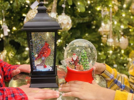 HICKS NURSERIES - Updated July 2024 - 768 Photos & 219 Reviews - 100 ...