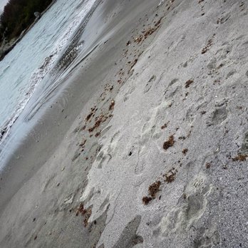 SECOND BEACH / SACHUEST BEACH - Updated September 2025 - 195 Photos ...