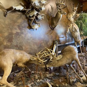 BOOMLAND - Updated October 2025 - 35 Photos & 25 Reviews - 6399 State ...