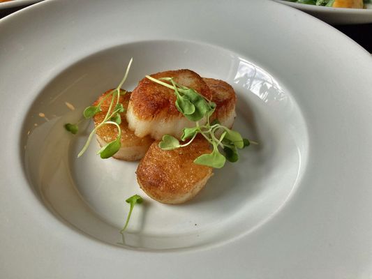 SOLE’ RESTAURANT - Updated January 2026 - 77 Photos & 67 Reviews - 83 ...