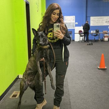 Dog boot camp near me store
