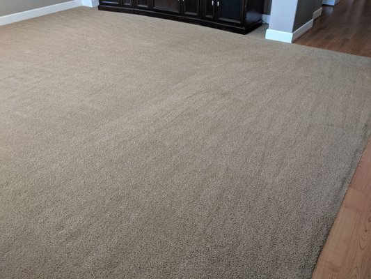 WORLD CLASS CARPET CLEANING - 186 Photos & 461 Reviews - Sacramento ...