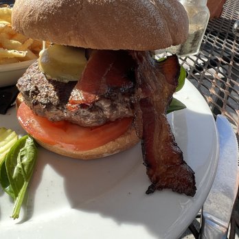 TOO COOL CAFE - 510 Photos & 559 Reviews - 2051 S Patrick Dr, Indian ...