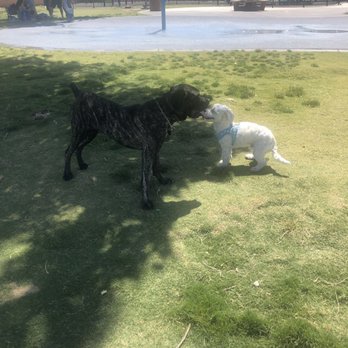 RED RIDGE PARK - Updated October 2025 - 520 Photos & 63 Reviews - 7027 ...