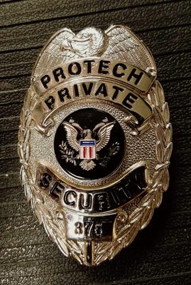 PROTECH SECURITY SERVICES - Updated October 2025 - 25 Photos & 11 ...