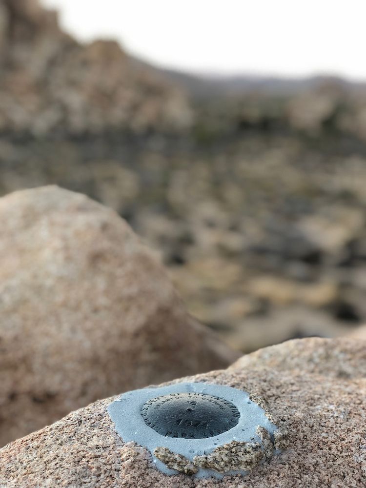 JOSHUA TREE NATIONAL PARK - 8448 Photos & 1064 Reviews - Parks - 74485 ...