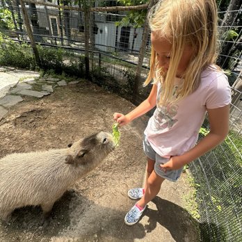 HOUSTON INTERACTIVE AQUARIUM AND ANIMAL ADVENTURE - Updated June 2024 ...