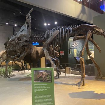 PEROT MUSEUM OF NATURE AND SCIENCE - Updated July 2024 - 2326 Photos ...
