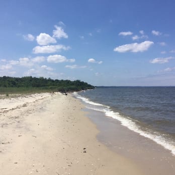 FLAG PONDS NATURE PARK - Updated December 2025 - 90 Photos & 46 Reviews ...