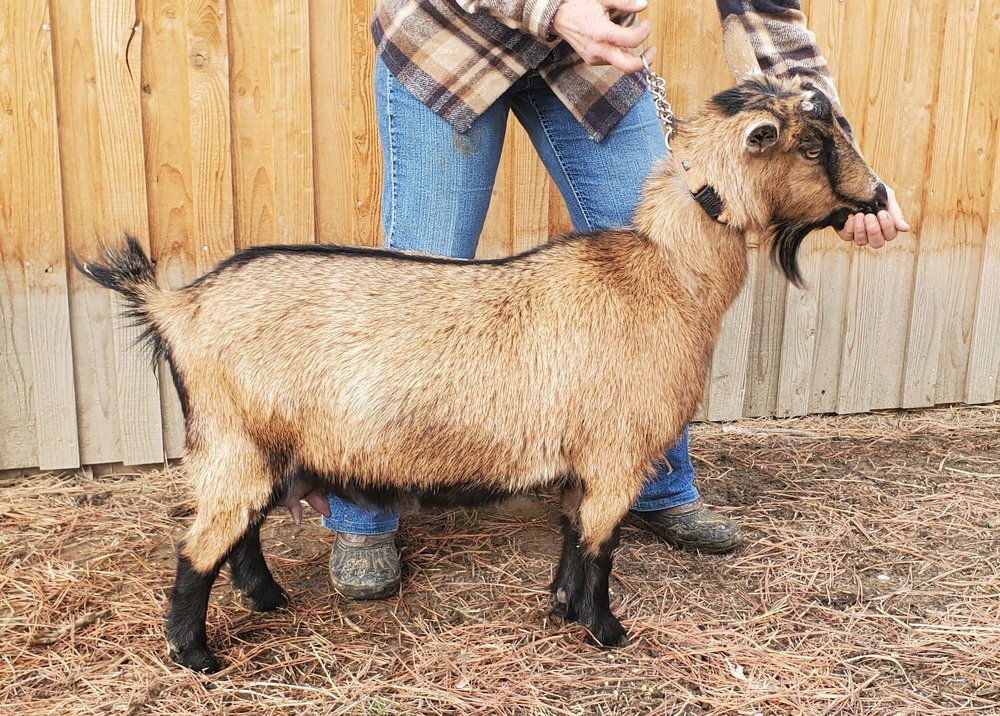 NATUURLIK HANDCRAFTED - Updated August 2025 - 90 Treetop Rd, Roundup ...