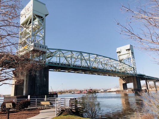 DRAM TREE PARK - Updated December 2025 - 13 Photos - W Castle St ...