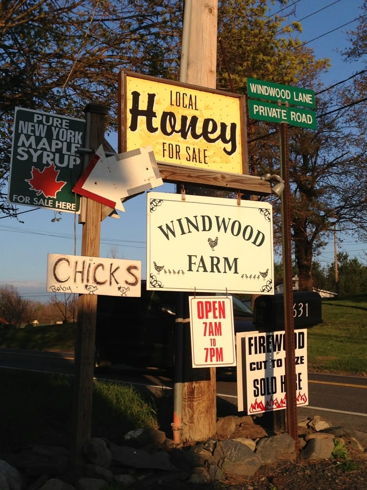 WINDWOOD FARMS - Updated January 2026 - 1631 Rt 44/55, Clintondale, New ...