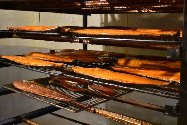 THIELEN MEATS OF PIERZ - Updated June 2026 - 15 Reviews - 310 Main St N ...