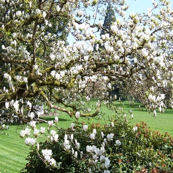 ELK ROCK GARDEN - Updated November 2024 - 102 Photos & 23 Reviews ...