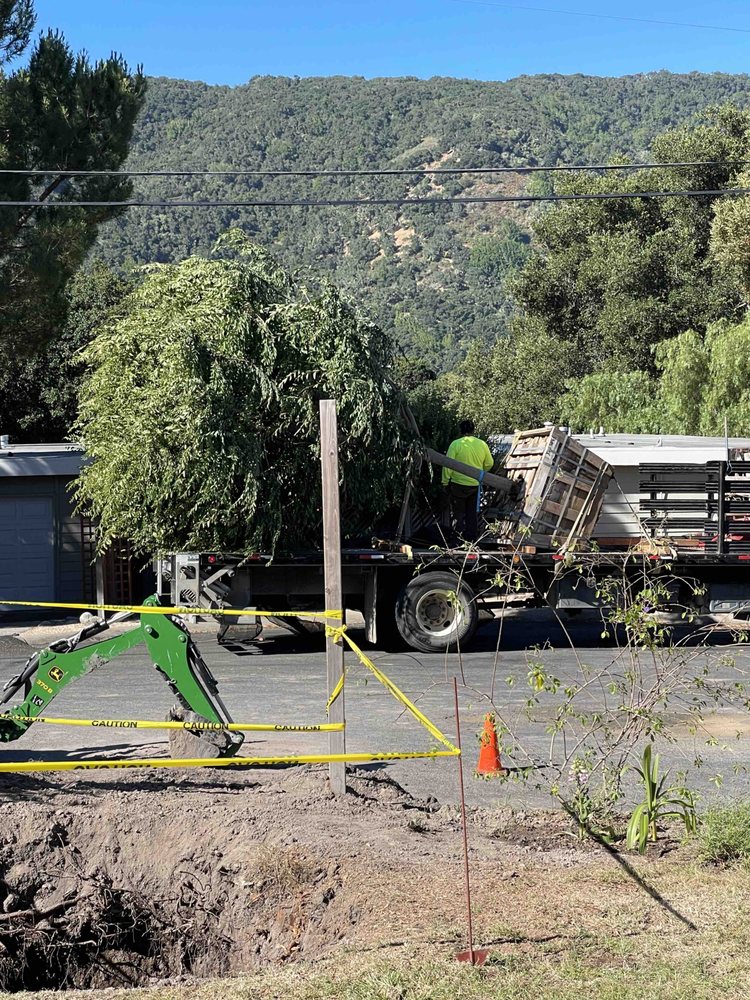 LOPEZ TREE SERVICE - Updated December 2025 - 27 Photos & 25 Reviews ...