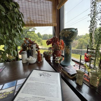 COUNTRY VIEW RESTAURANT - Updated July 2025 - 165 Photos & 152 Reviews ...