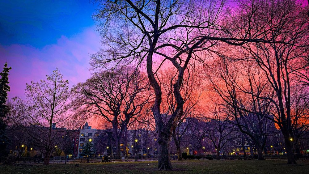 TOMPKINS SQUARE PARK - Updated May 2024 - 1217 Photos & 175 Reviews - E ...