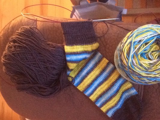 LES LAINES BISCOTTE - 72 Photos - 1315 Rue Roberval, Saint-Bruno-de ...