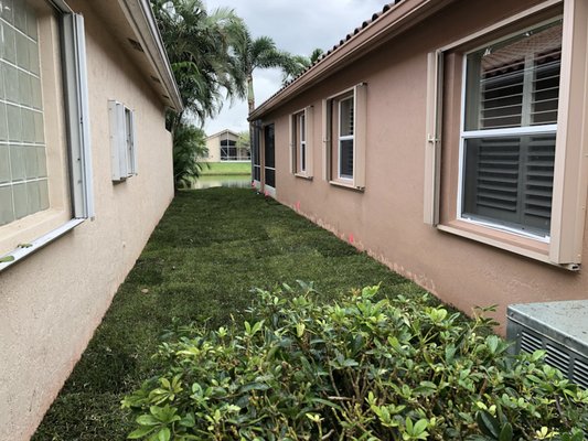 COASTAL LAWN - Updated October 2025 - 61 Photos - Boca Raton, Florida ...