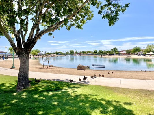 SURPRISE COMMUNITY PARK - 134 Photos & 32 Reviews - 15930 N Bullard Ave ...