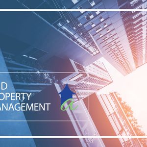 ALAMO MANAGEMENT GROUP - Updated November 2024 - 25 Photos & 58 Reviews ...