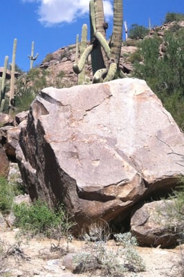 WILD BURRO TRAILHEAD - Updated August 2025 - 14810 N Secret Springs Dr ...