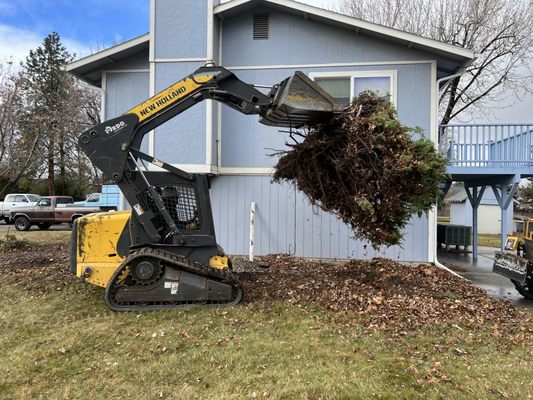 ELITE TREE SERVICE - Updated June 2025 - 16 Photos - 115 NW Boardman ...