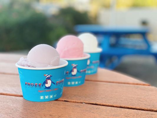 FROZE ZONE - Updated April 2024 - 88 Photos & 46 Reviews - 184 W ...