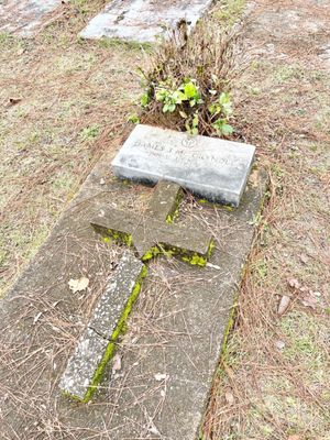 HISTORIC BLAKELEY STATE PARK - Updated October 2025 - 163 Photos & 19 ...