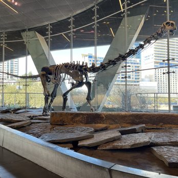 PEROT MUSEUM OF NATURE AND SCIENCE - Updated November 2024 - 2342 ...
