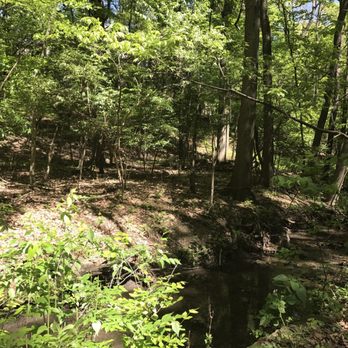 WALHALLA RAVINE - Updated December 2025 - 18 Photos - Walhalla Rd ...