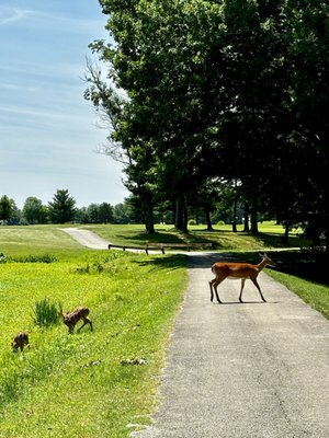 WOODED VIEW GOLF COURSE - Updated September 2025 - 10 Reviews - 2404 ...