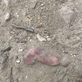 COLD SPRING HARBOR STATE PARK - Updated November 2024 - 252 Photos & 66 ...