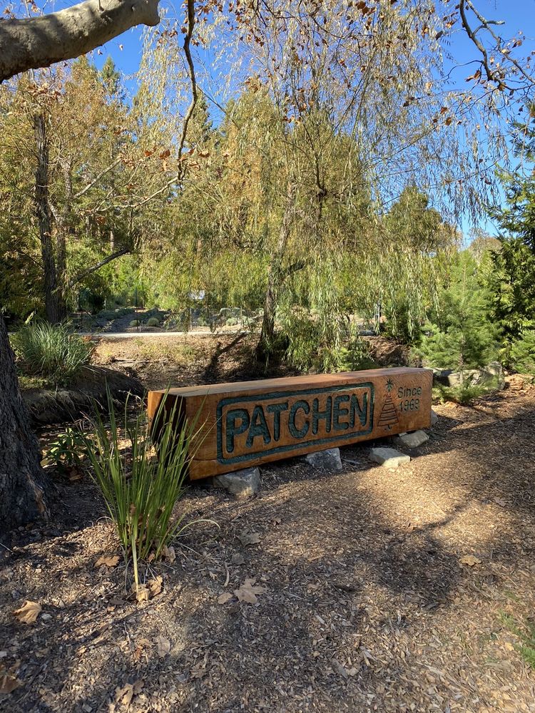 PATCHEN CALIFORNIA CHRISTMAS TREE FARMS - 63 Photos & 48 Reviews ...