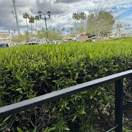 BLANCO COCINA + CANTINA - Updated January 2026 - 1220 Photos & 1514 ...