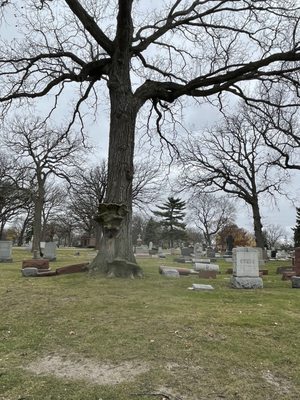 MONTROSE CEMETERY & CREMATORIUM - Updated April 2026 - 51 Photos & 10 ...