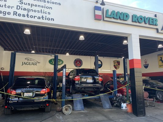 EUROPEAN AUTO SERVICE - 71 Photos & 169 Reviews - 18520 Wyandotte St ...