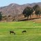 SIMI HILLS GOLF COURSE - Updated December 2025 - 105 Photos & 81 ...