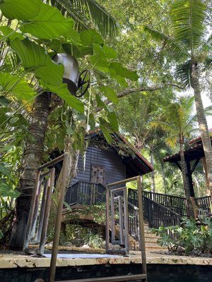 SPA BOTANICO - Updated August 2025 - 56 Photos & 12 Reviews - Dorado ...