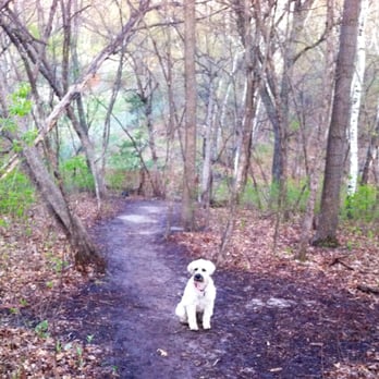 STARING LAKE DOG PARK - Updated September 2025 - 17 Photos - 13800 ...