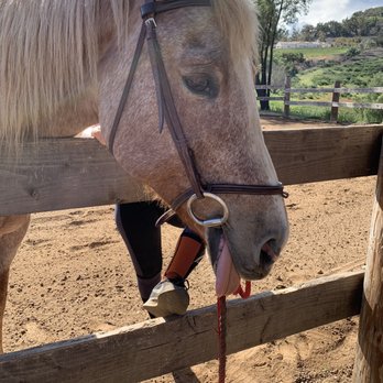 RAWHIDE RANCH - Updated June 2025 - 72 Photos & 35 Reviews - 6987 W ...