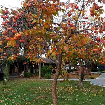 TATHAGATA MEDITATION CENTER - Updated December 2025 - 46 Photos - 1215 ...