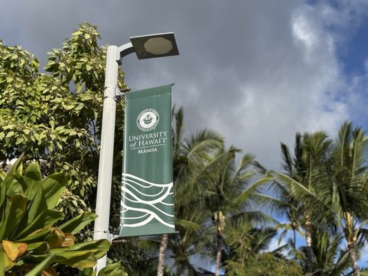 UNIVERSITY OF HAWAII AT MĀNOA - Updated April 2026 - 462 Photos & 132 ...