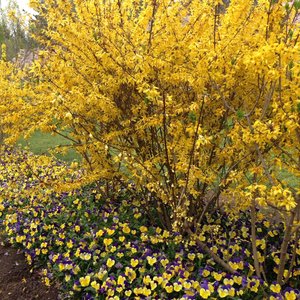 ACT PRETTY GIRLS - Updated October 2025 - 77 Gladstone St, Fyshwick ...