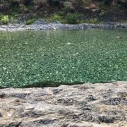 MINERAL BAR CAMPGROUND - 135 Photos & 28 Reviews - Parks - Iowa Hill Rd ...