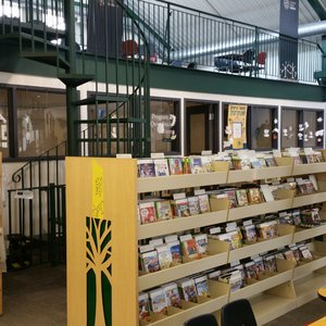 LOUISE RILEY LIBRARY - Updated October 2025 - 1904 14 Avenue NW ...