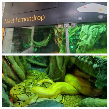 EAST BAY VIVARIUM - Updated June 2024 - 592 Photos & 563 Reviews - 1827 ...