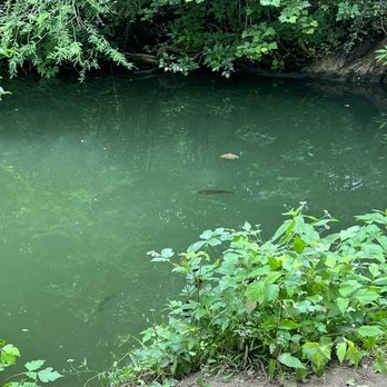 COMMONS FORD RANCH METROPOLITAN PARK - Updated December 2025 - 94 ...