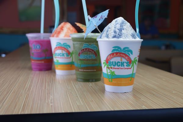 BAHAMA BUCK’S - Updated May 2025 - 60 Photos & 81 Reviews - 4910 E ...