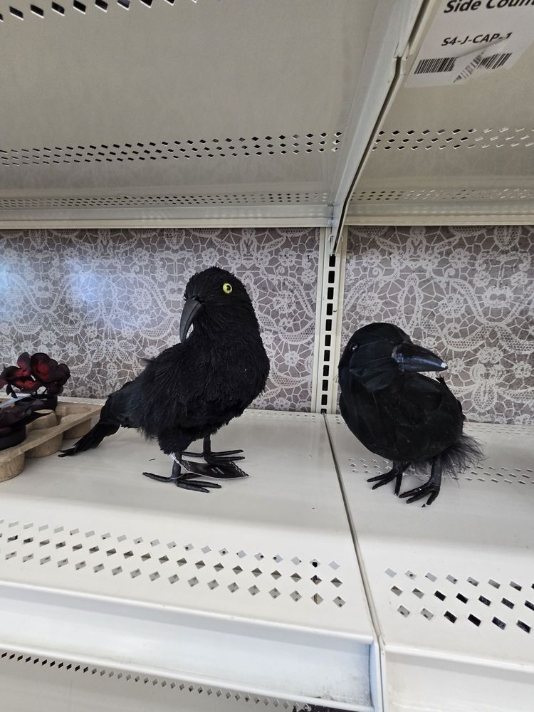 MICHAELS - Updated January 2026 - 25 Photos & 19 Reviews - 8030 Hwy 31 ...